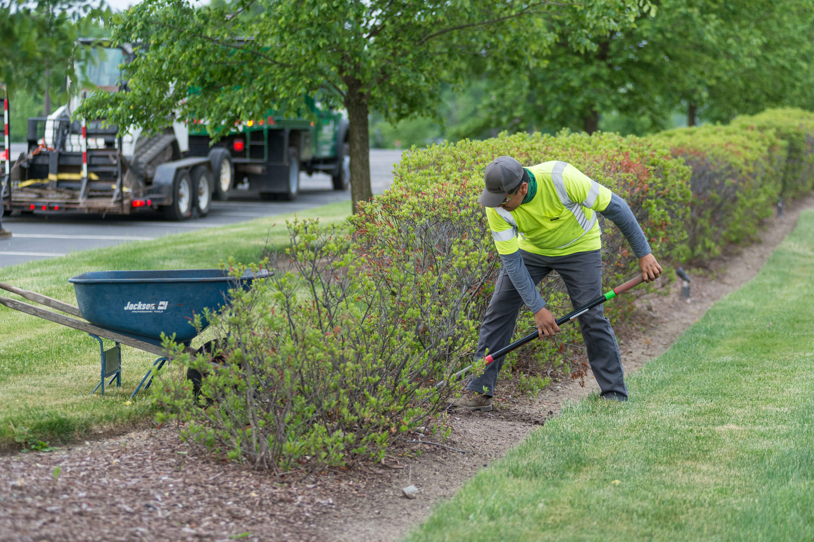 Tree & Shrub Removal | Arboristry